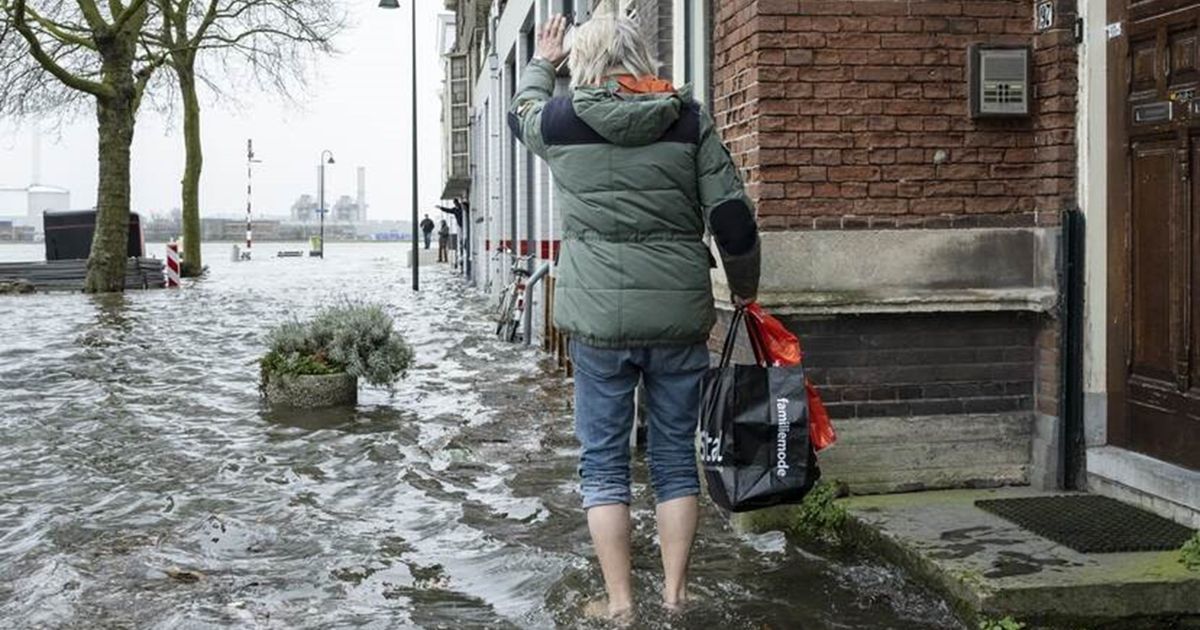 2024 Delta Programme | Delta Programme